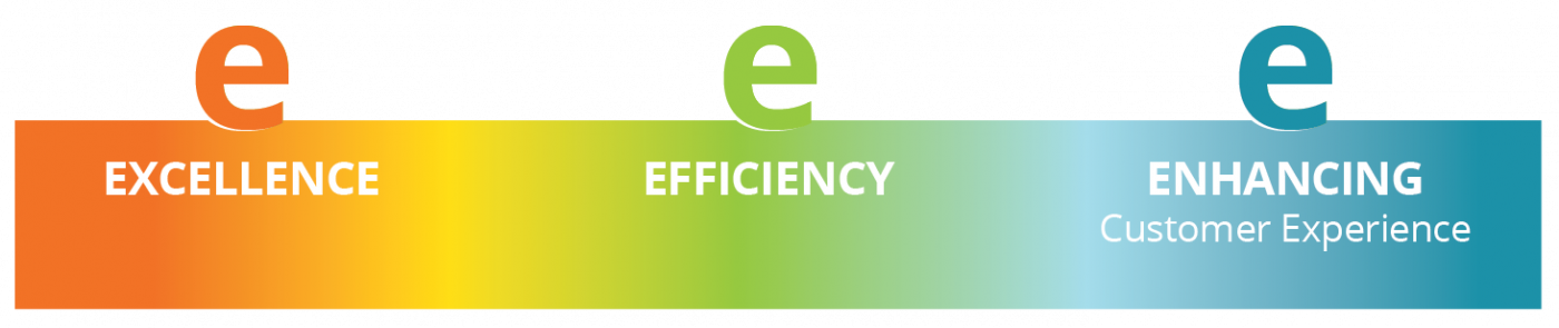Excellence, efficiency and enhancing the customer experience - Lee ...